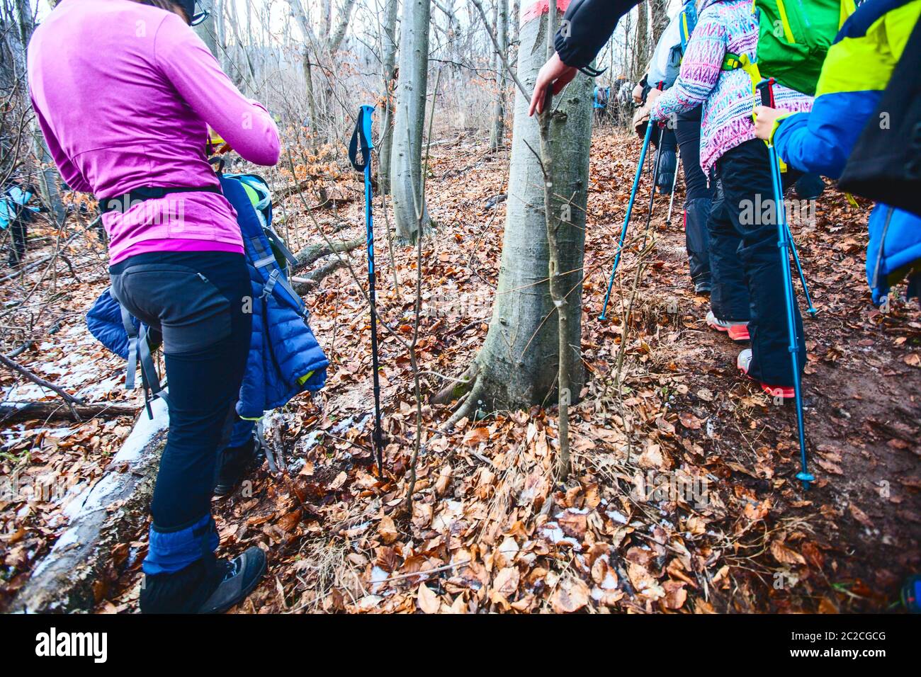 Hiking Trekking Nature Mountain Group People Walking Outdoor Healthy ...