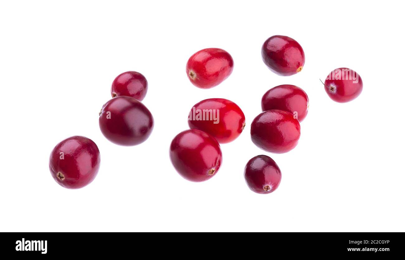 Fresh cranberries isolated on white background Stock Photo - Alamy