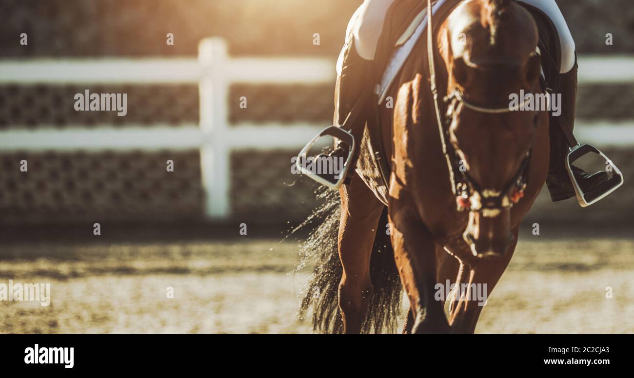 Rider banner hi-res stock photography and images - Alamy
