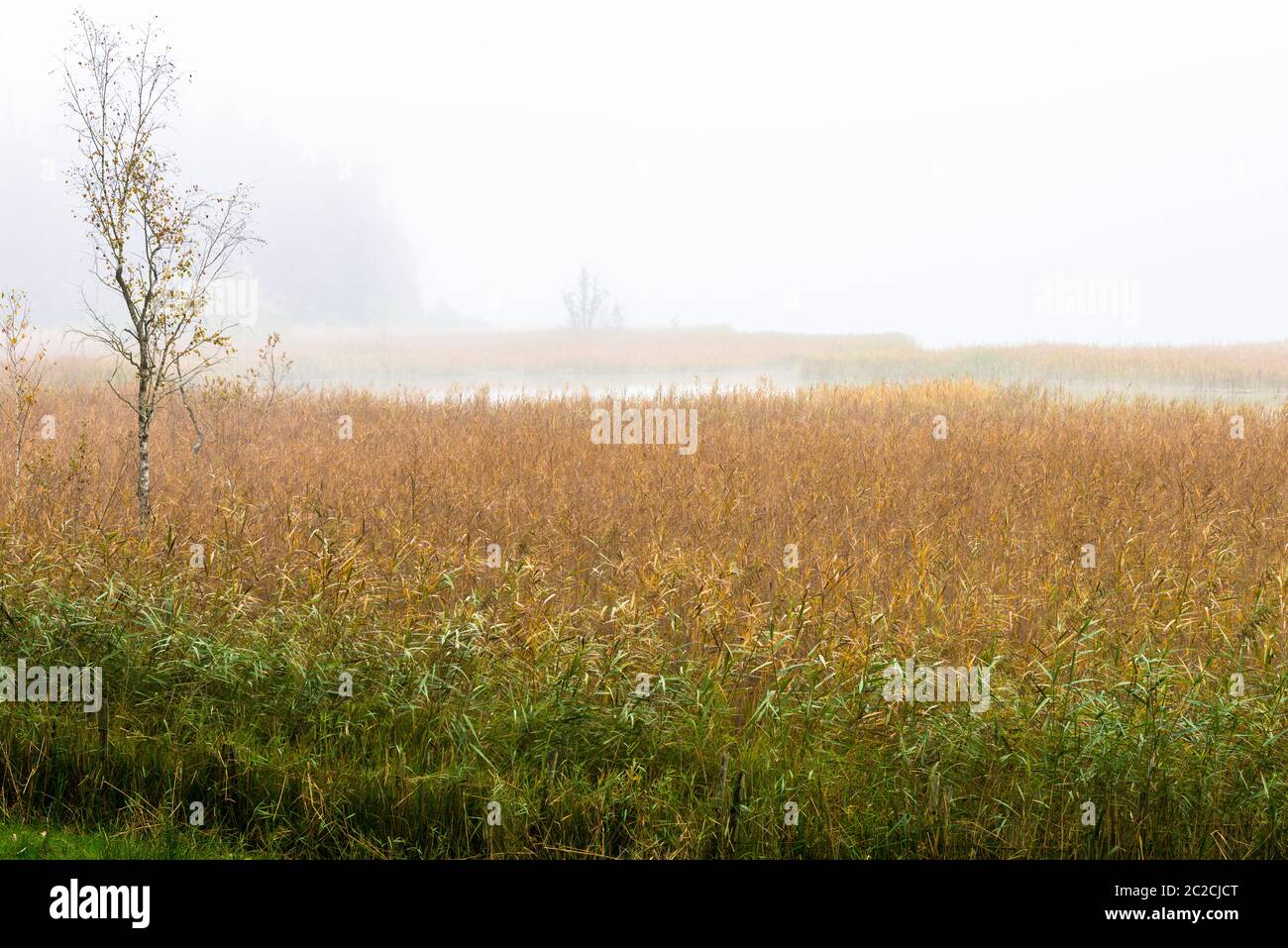 Bad weather hiking around Osterseen Stock Photo - Alamy