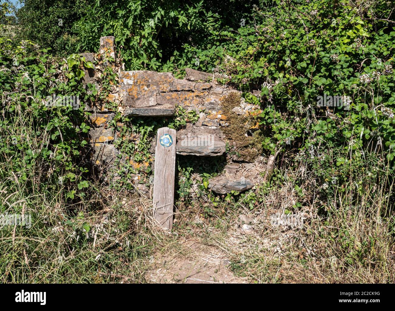Anglesey Stone High Resolution Stock Photography and Images - Alamy