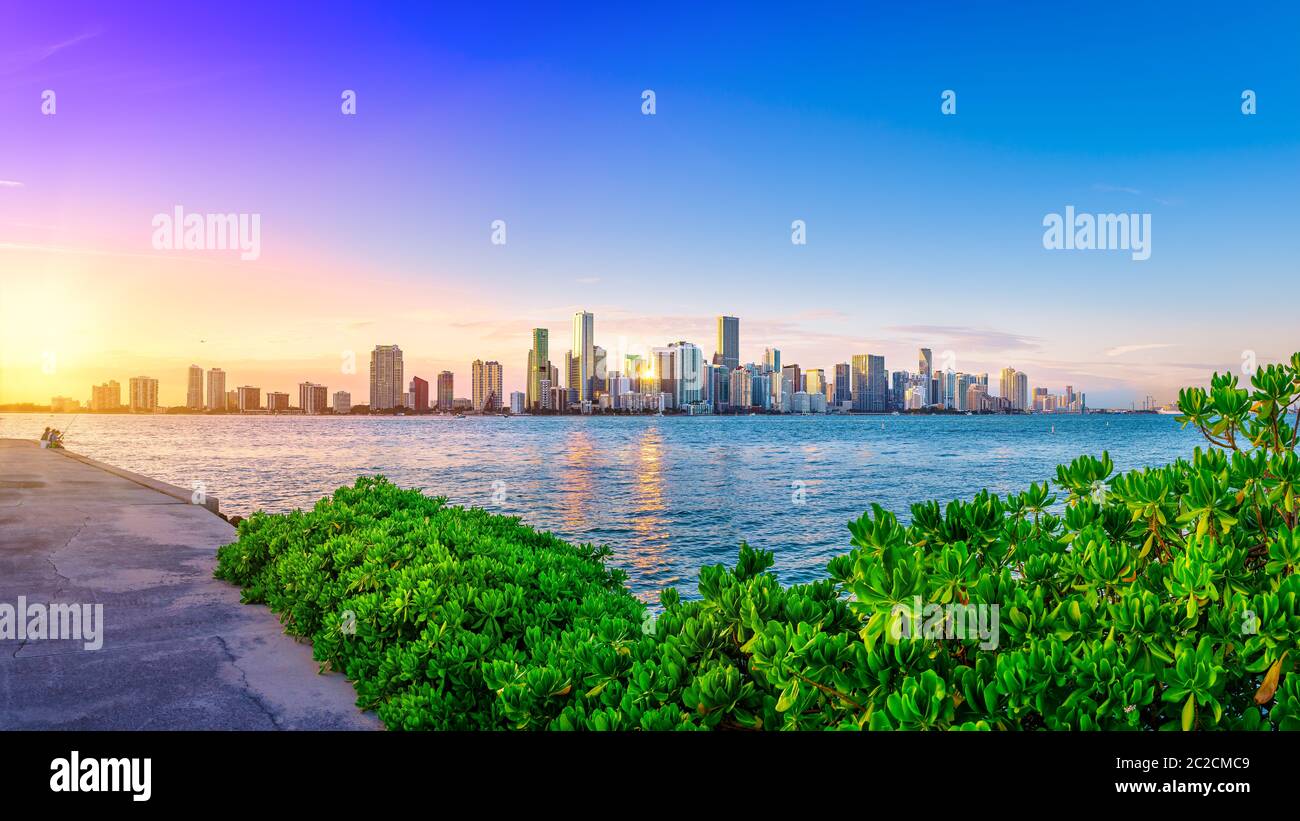 Florida skyscraper hi-res stock photography and images - Alamy