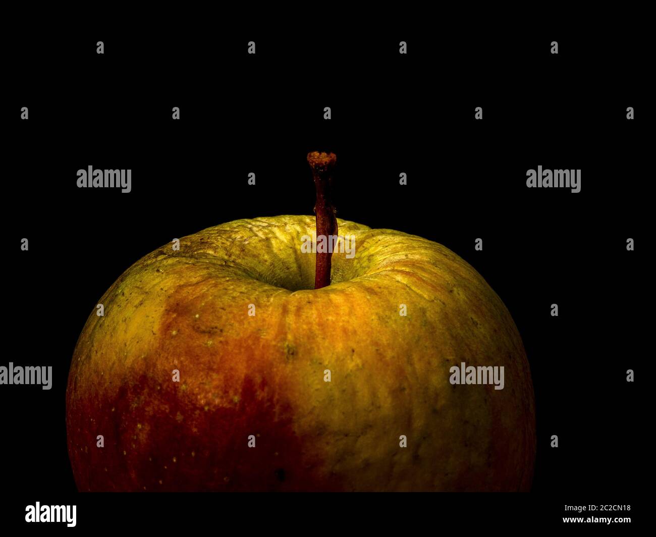 An old, wrinkld apple from last fall, against black background, viewed ...