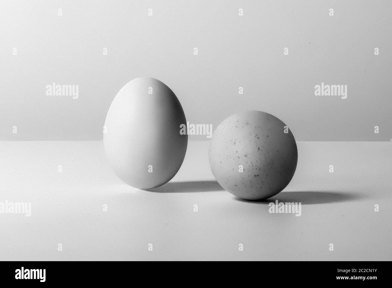 Couple laying eggs Black and White Stock Photos & Images - Alamy