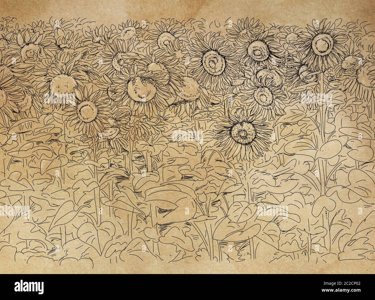 line drawings with landscapes and flowers Stock Photo - Alamy