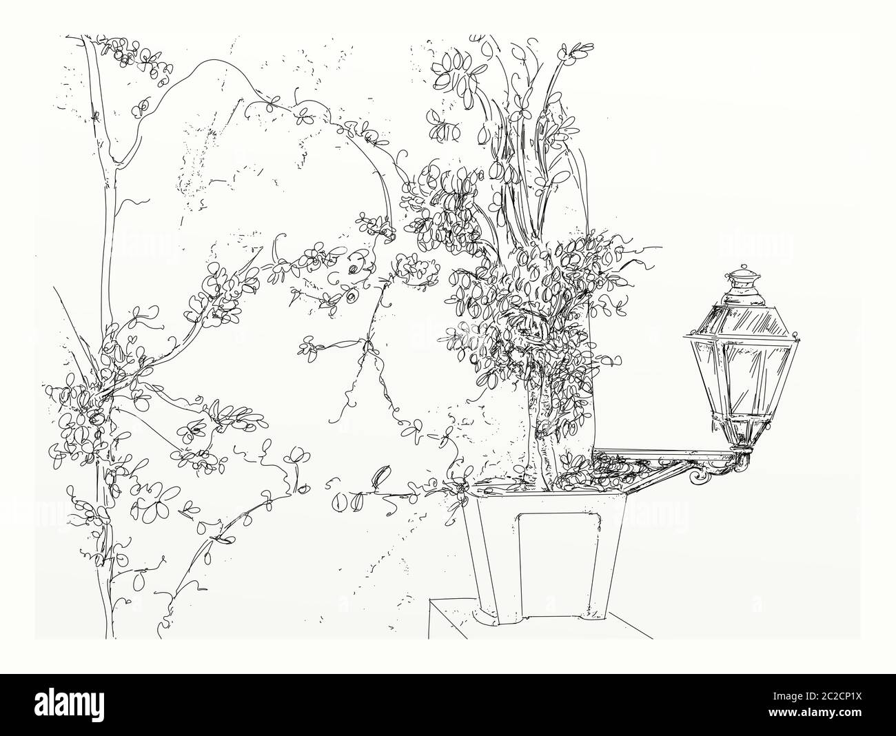 line drawings with landscapes and flowers Stock Photo - Alamy