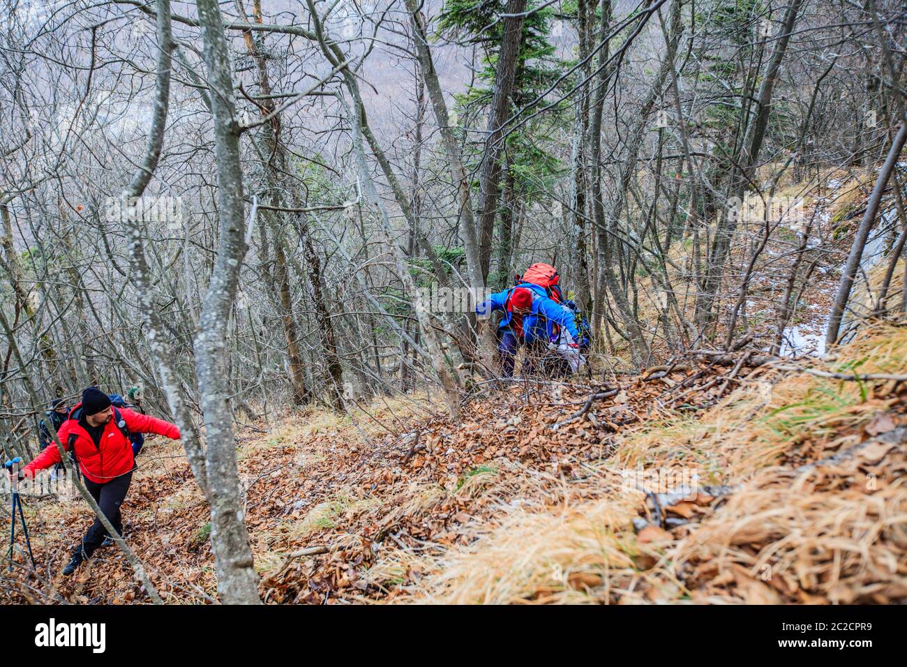 People hiking in forest. Outdoor nature healthy activity Stock Photo ...