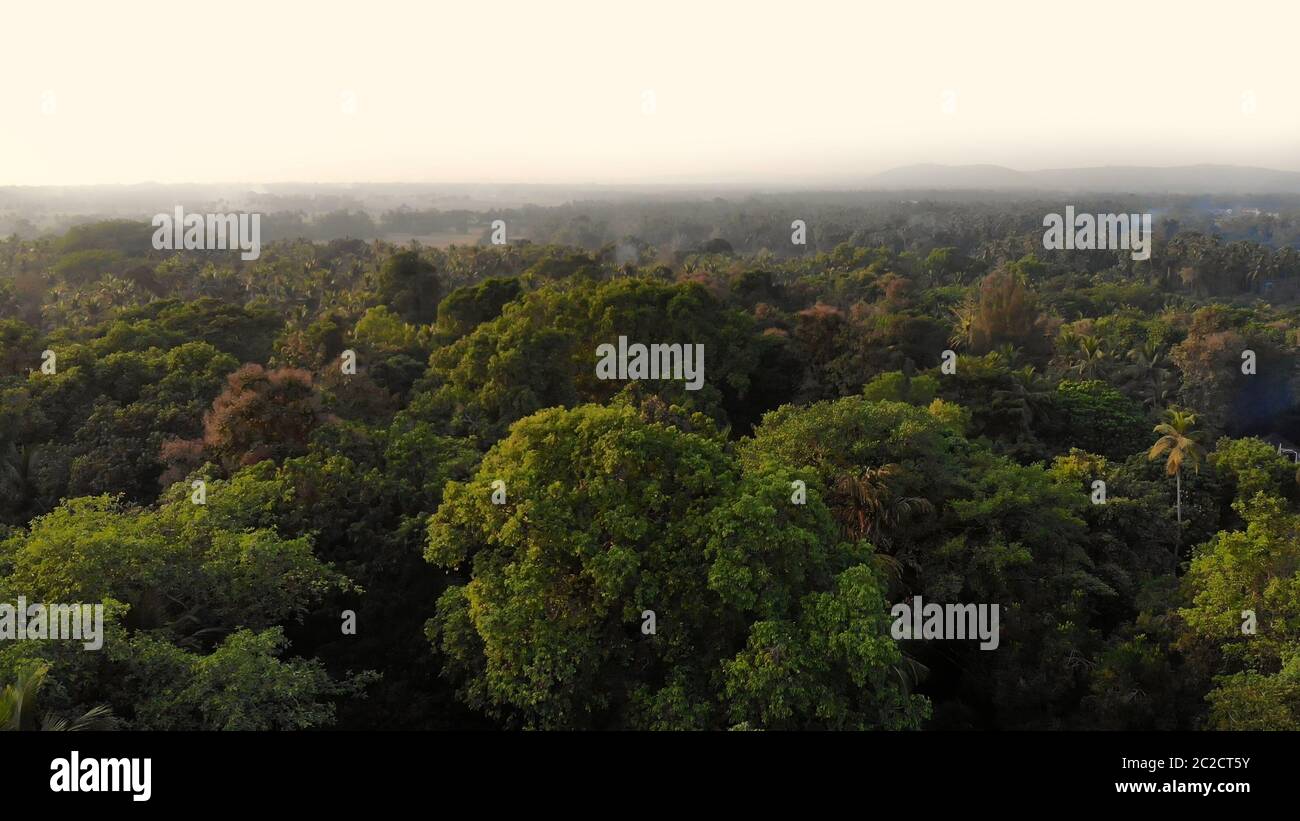 Margao video hi-res stock photography and images - Alamy