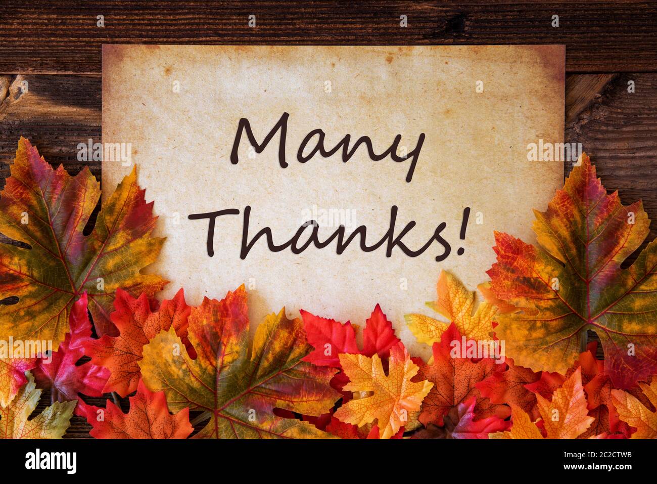 Grungy Old Paper With English Text Many Thanks. Colorful Autum ...