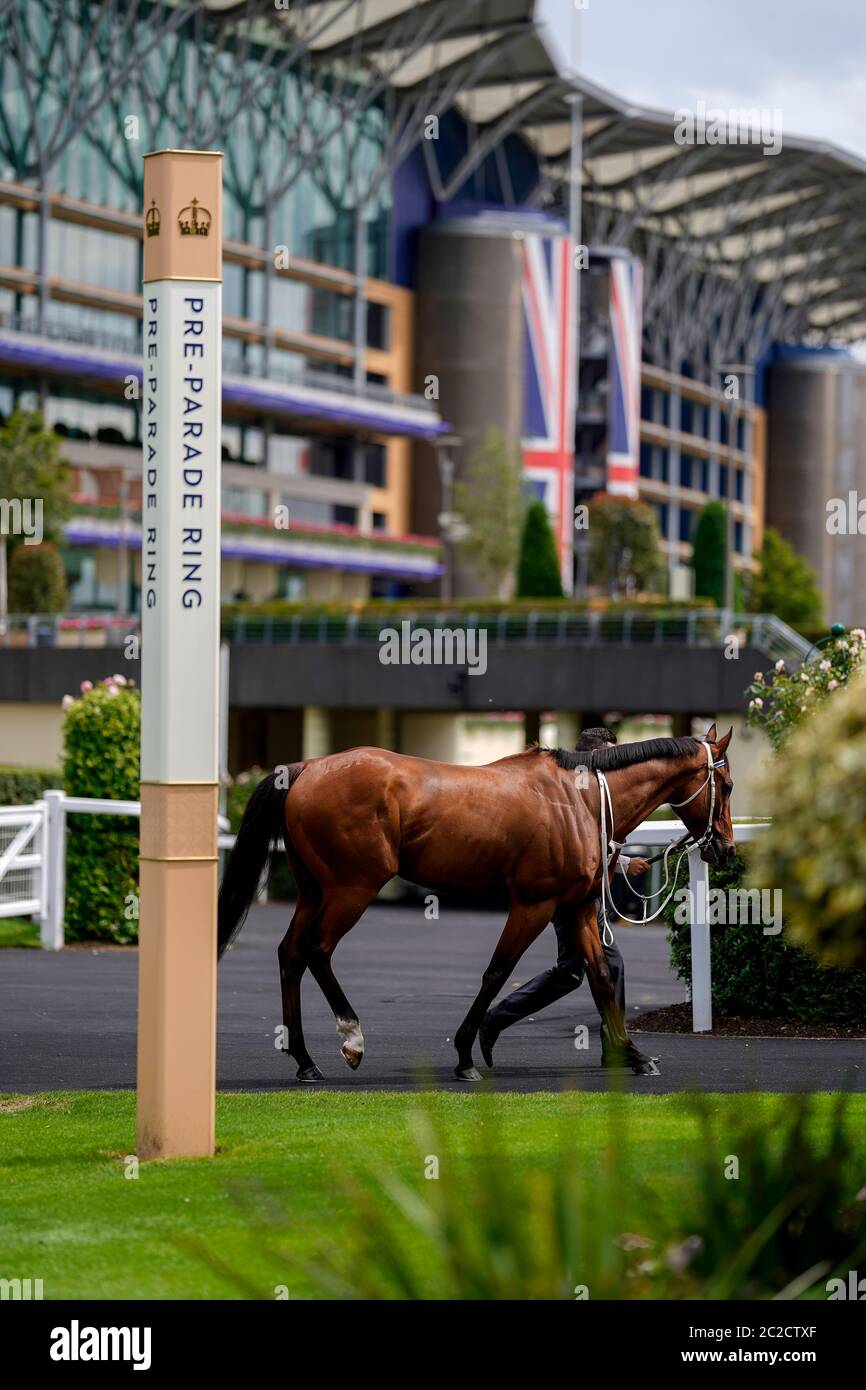 A general view of the pre parade ring during day two of Royal Ascot at ...
