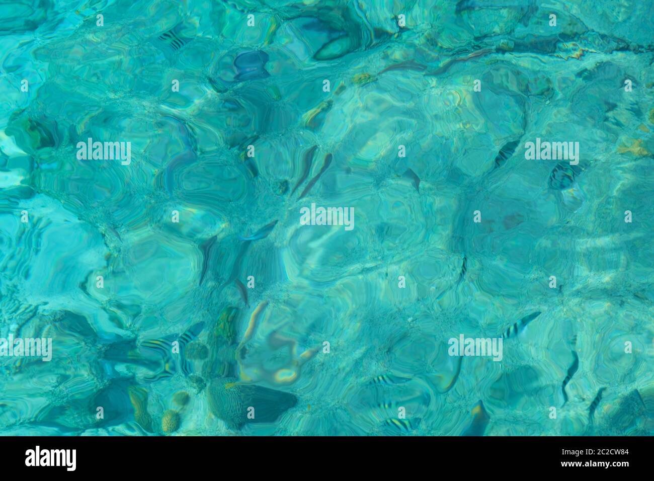 Tropical sea water texture with fish below the surface close up Stock ...