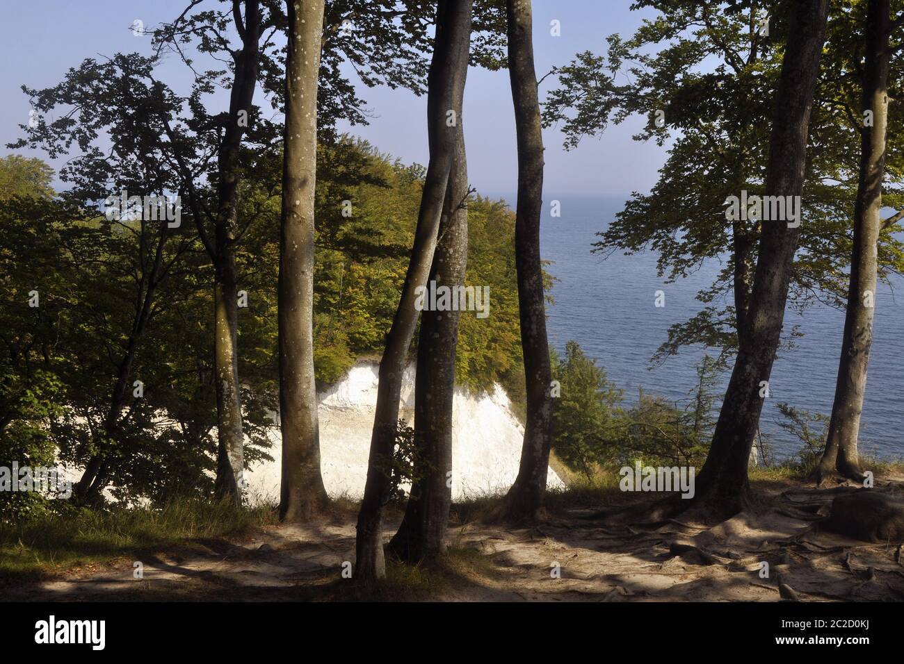 High coast baltic sea hi-res stock photography and images - Alamy