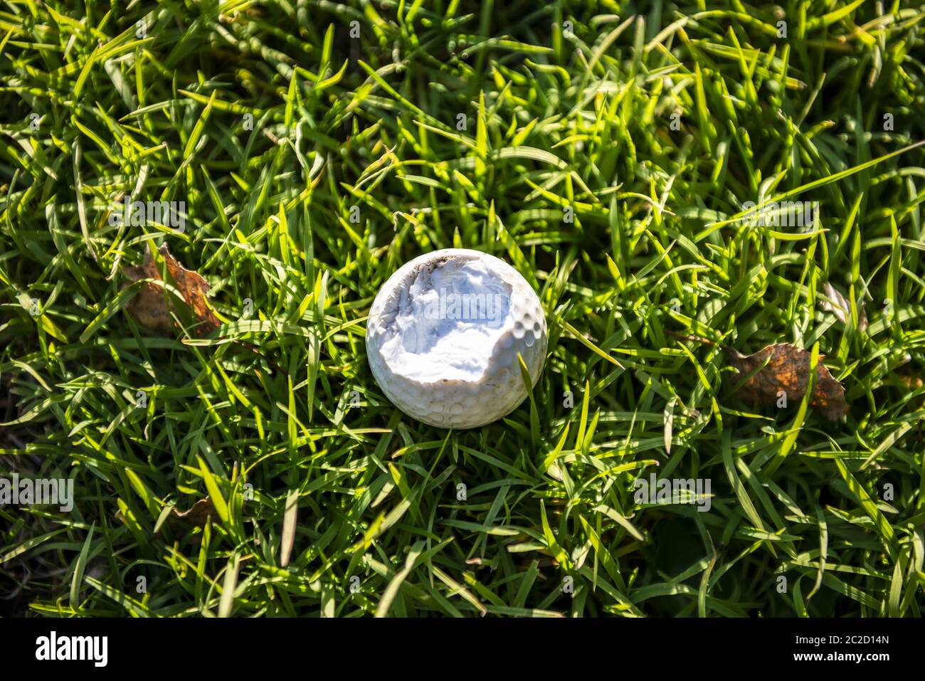 Broken Golf Ball on the Green Grass Stock Photo - Alamy