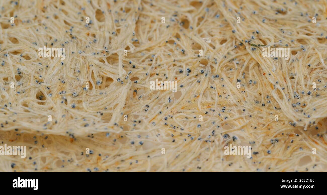 Japanese dry fish snack for beer, tatami iwashi Stock Photo - Alamy