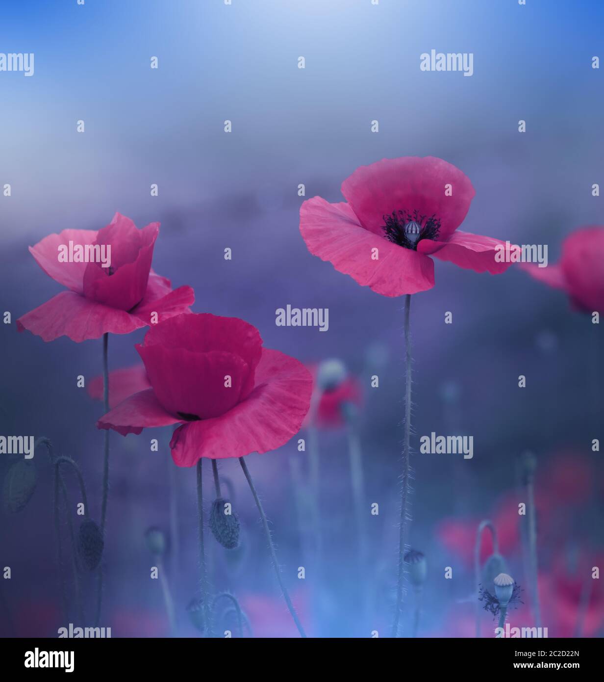 Blue nature background hi-res stock photography and images - Alamy