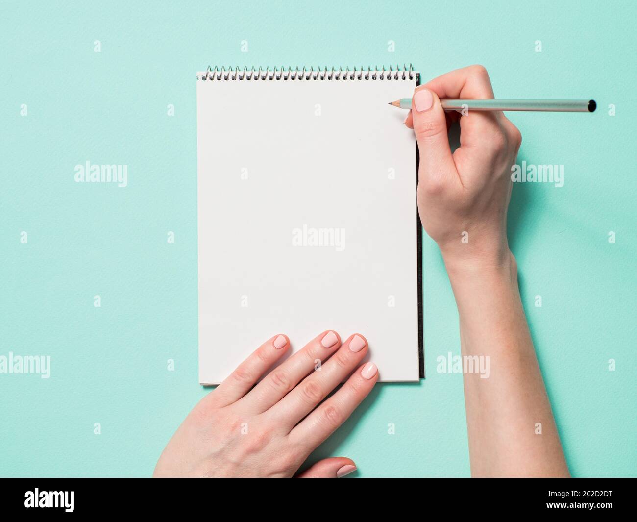 Blank paper notebook and female hands with pencil Stock Photo - Alamy