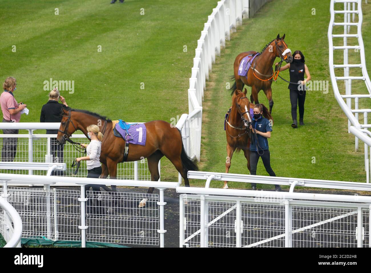 Stable staff at Beverley Racecourse Stock Photo - Alamy