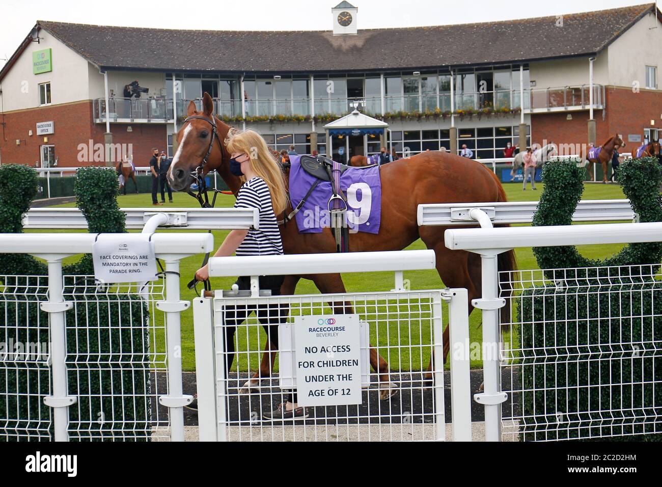 Stable staff at Beverley Racecourse Stock Photo - Alamy