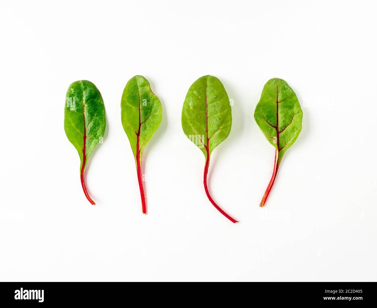 Top view green chard Cut Out Stock Images & Pictures - Alamy
