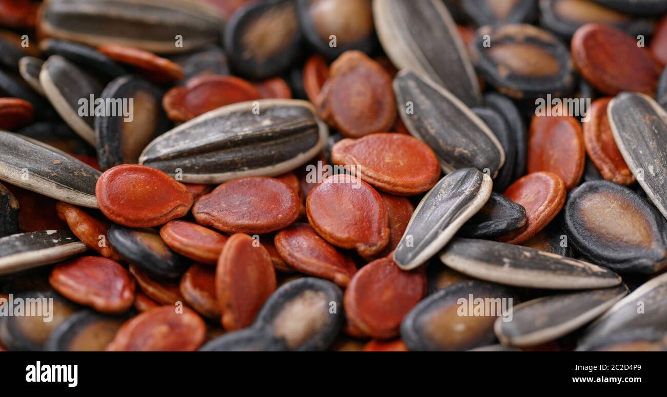 China melon seeds hi-res stock photography and images - Alamy