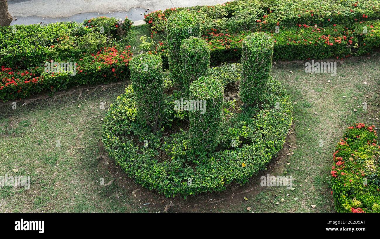 cilindre garden trees nature outdoor leaf foliage Stock Photo - Alamy