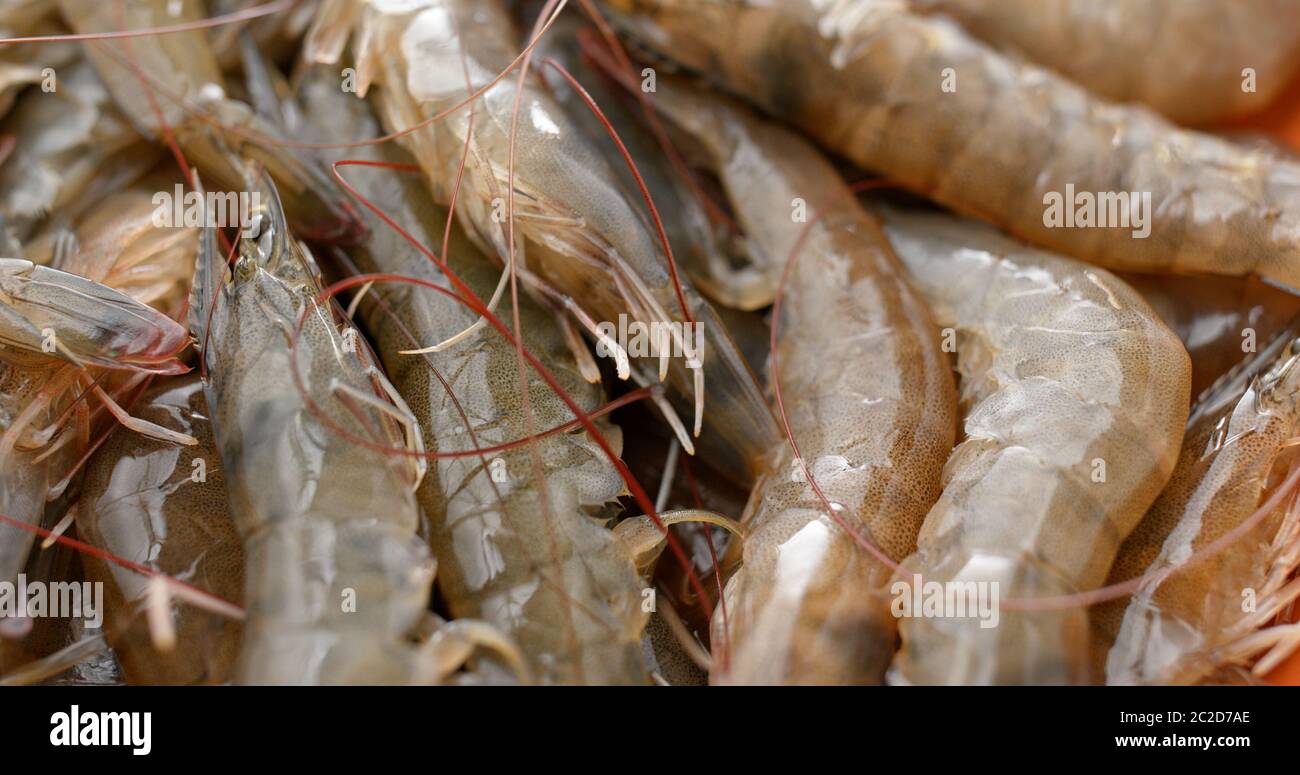 Fresh uncooked shrimp Stock Photo - Alamy