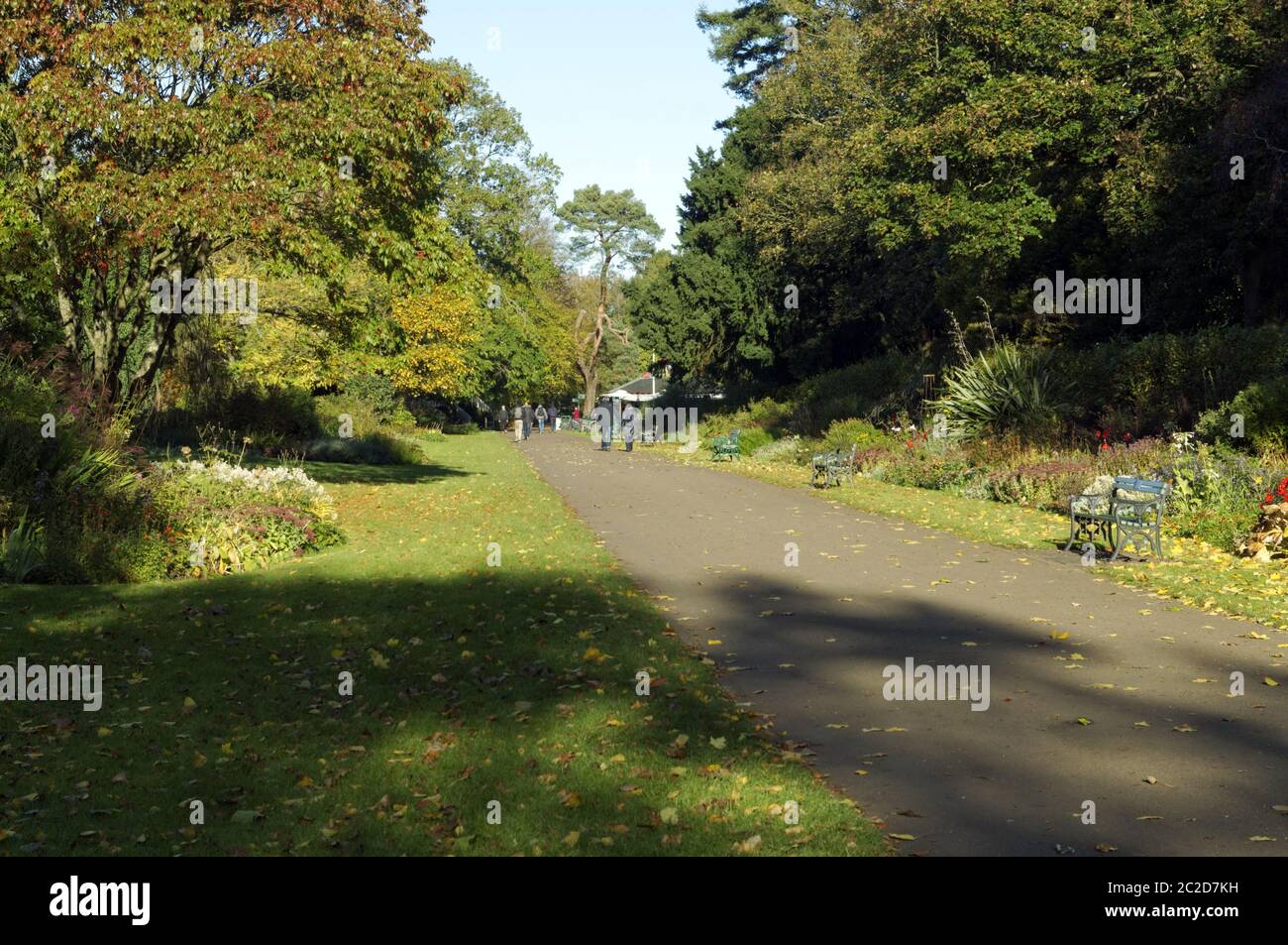Border wales hi-res stock photography and images - Alamy