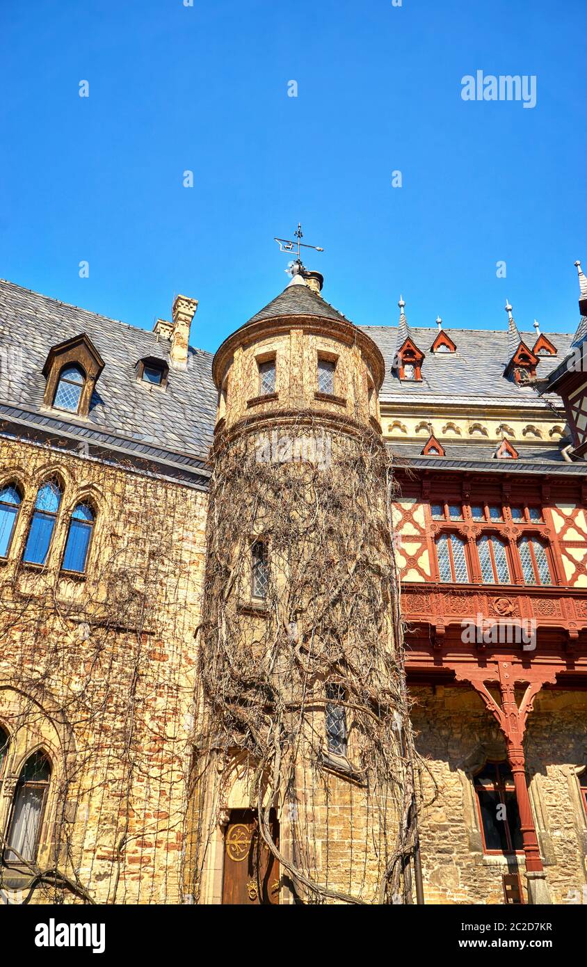 Trellis plants on a medieval tower in the courtyard of Wernigerode ...