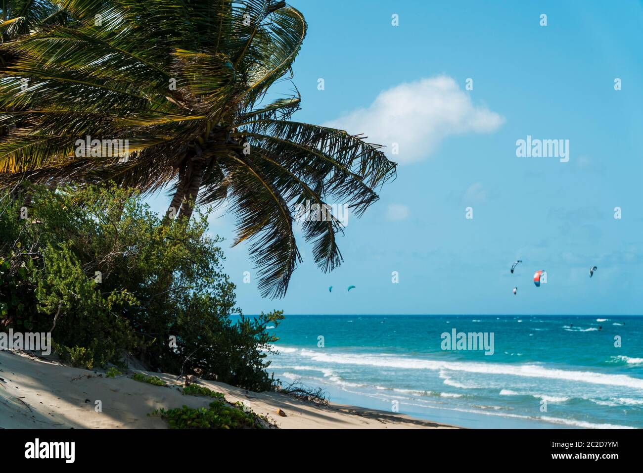 view of cabarete beach at the dominican republic. with unrecognizable ...