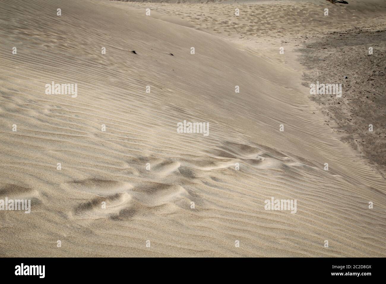desert region with dunes under blue sky, sand textur Stock Photo - Alamy