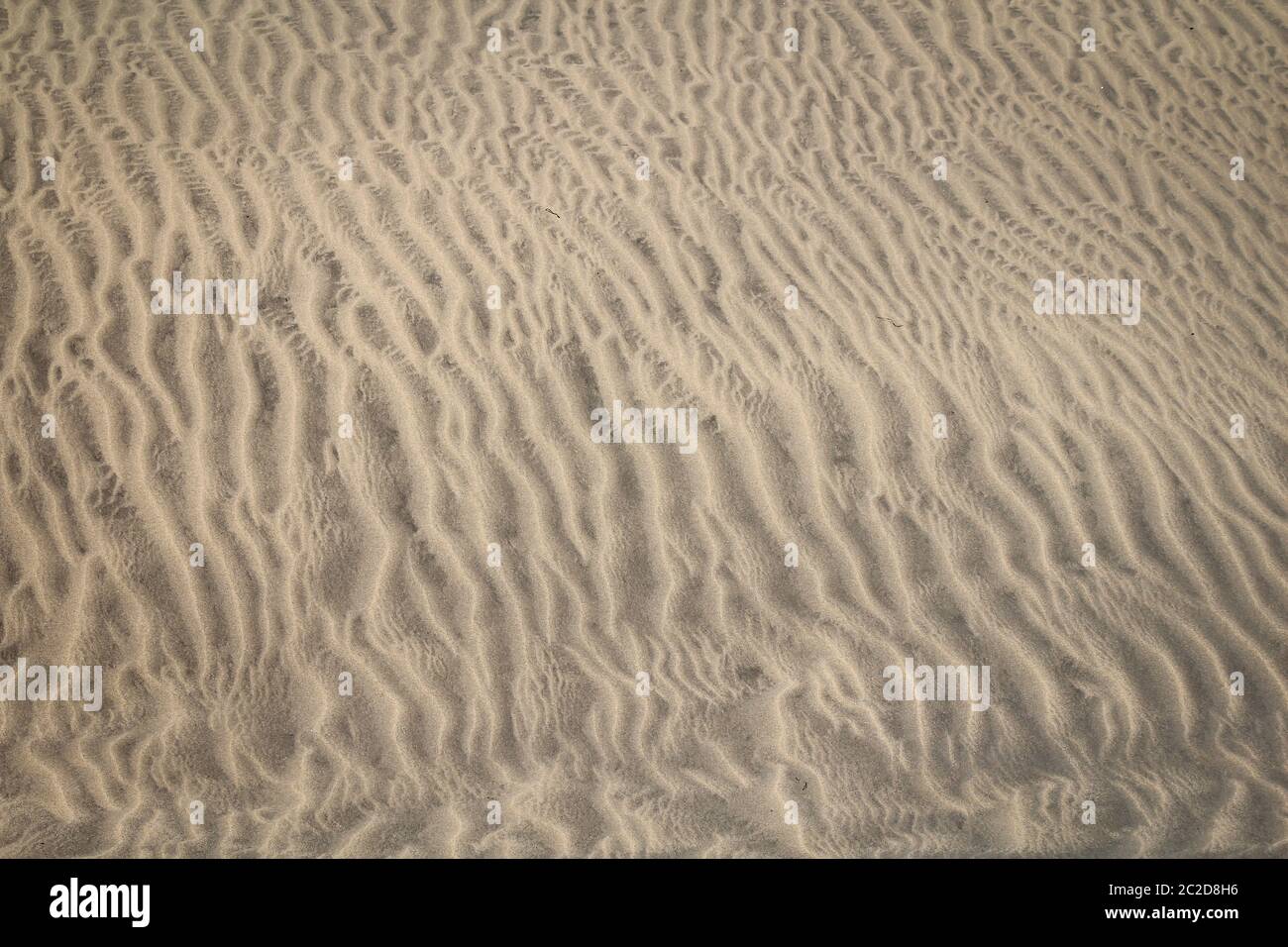 desert region with dunes under blue sky, sand textur Stock Photo - Alamy