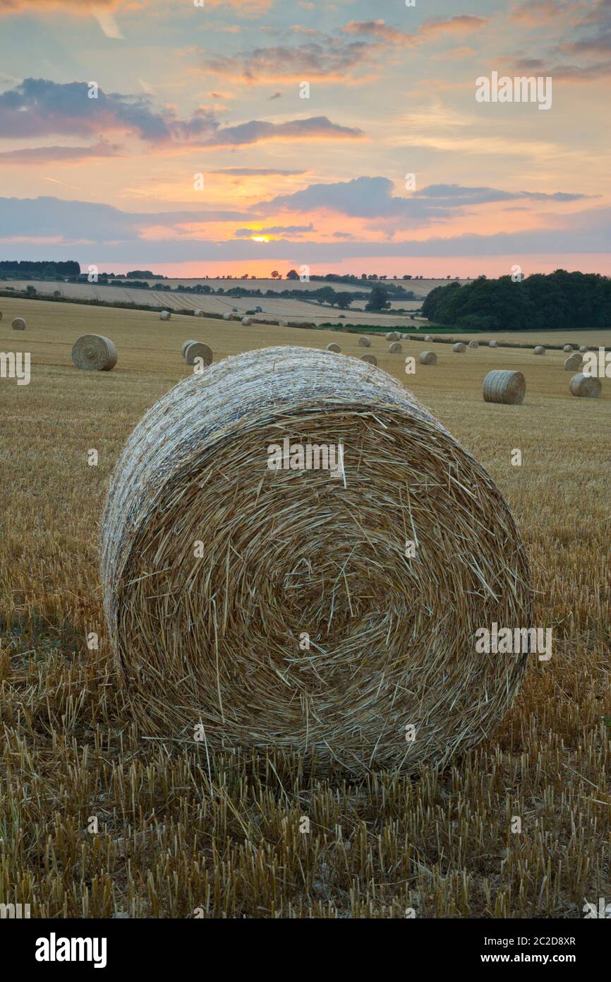 British farm sunset hi-res stock photography and images - Alamy