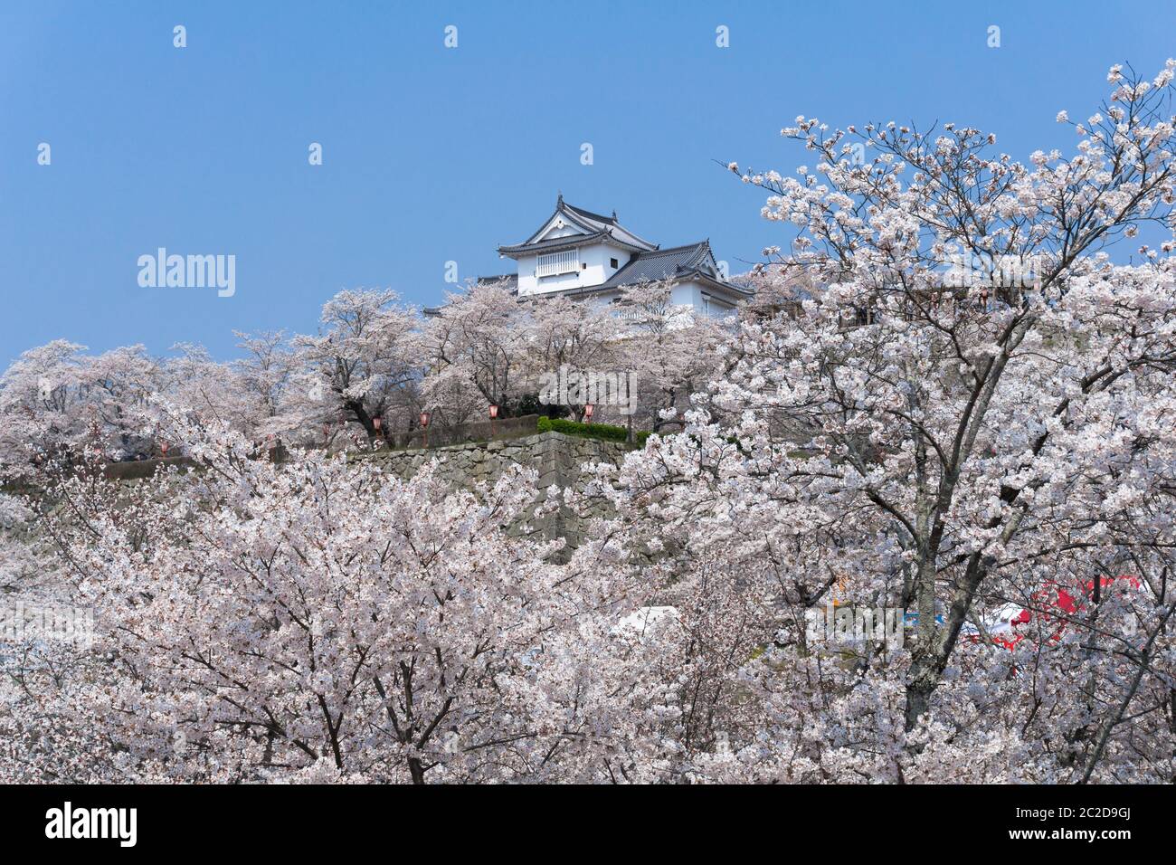Tsuyama Castle was built about 400 years ago. It has been selected as ...
