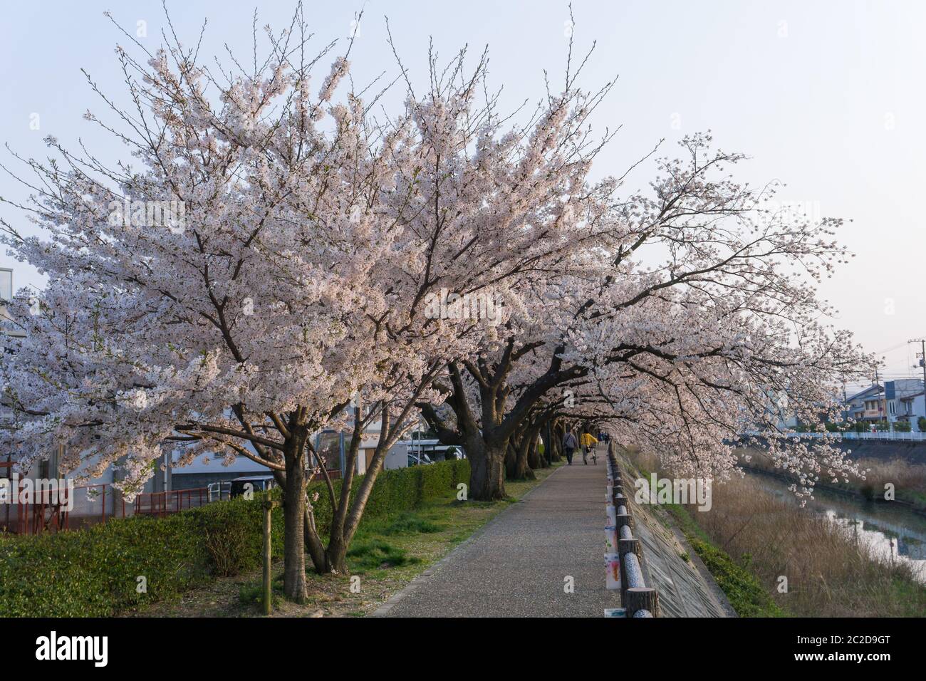 Tottori City is located in western Japan along the coast of the Sea of ...