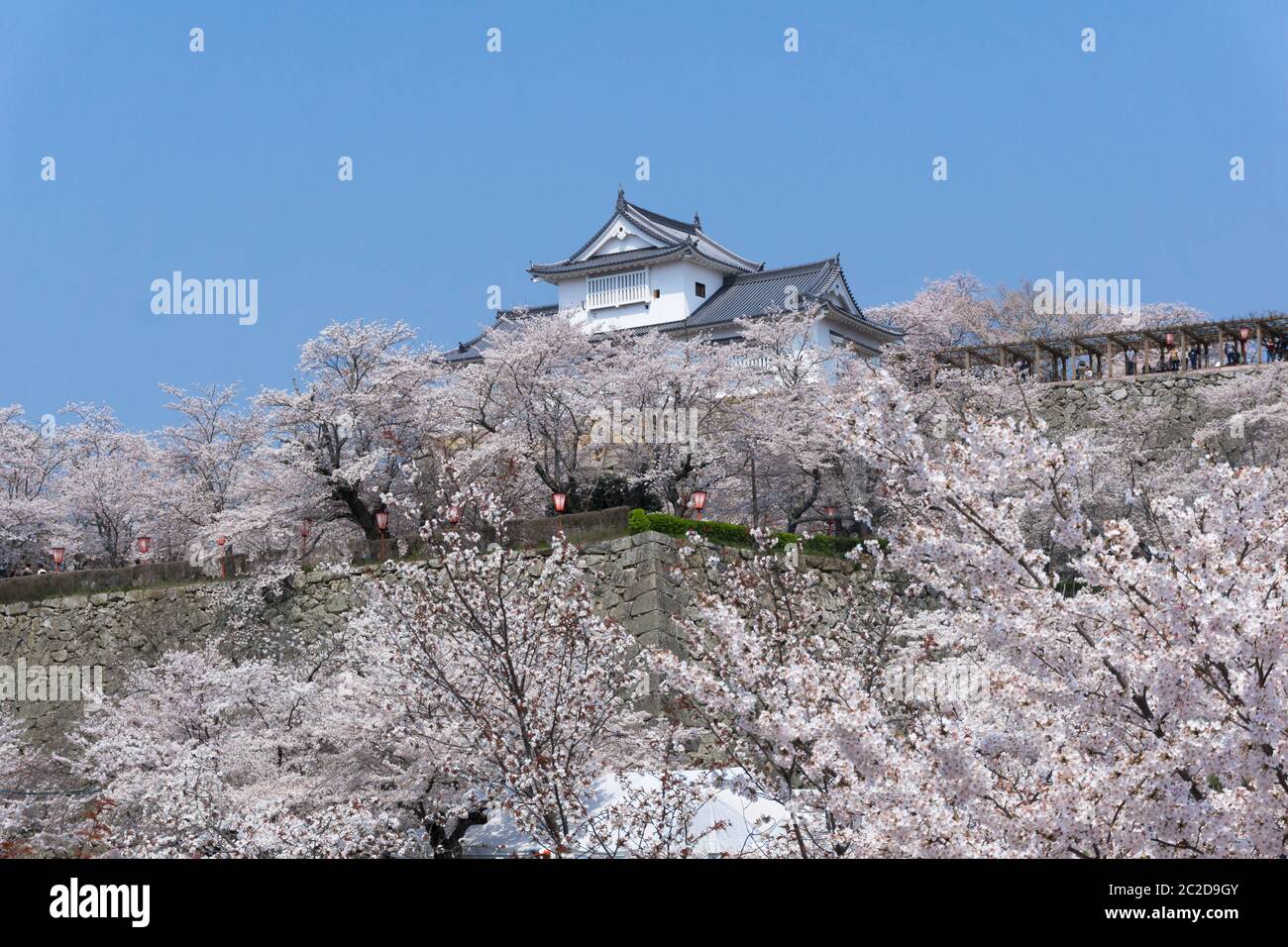 Tsuyama Castle was built about 400 years ago. It has been selected as ...