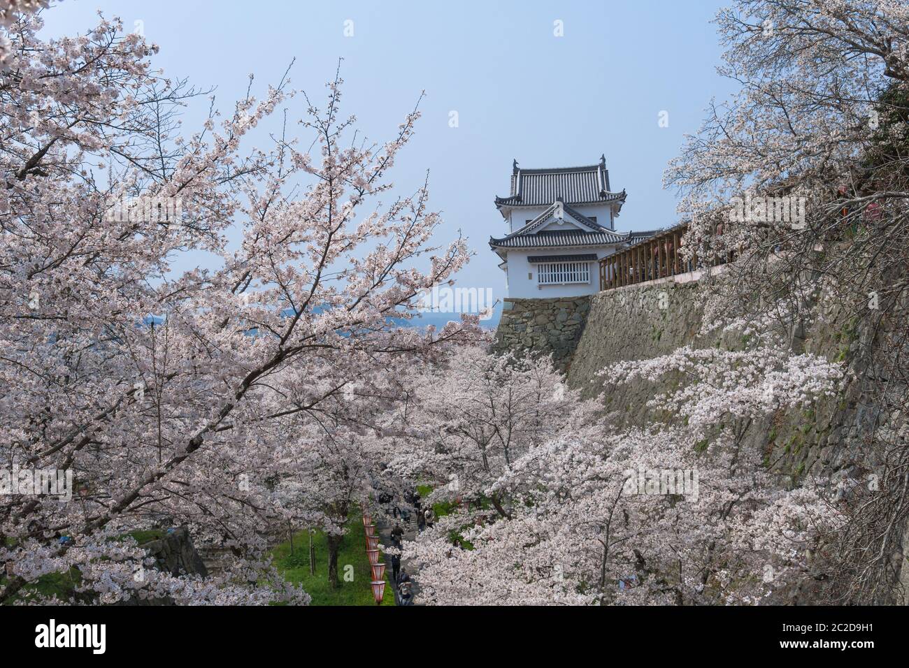 Tsuyama Castle was built about 400 years ago. It has been selected as ...