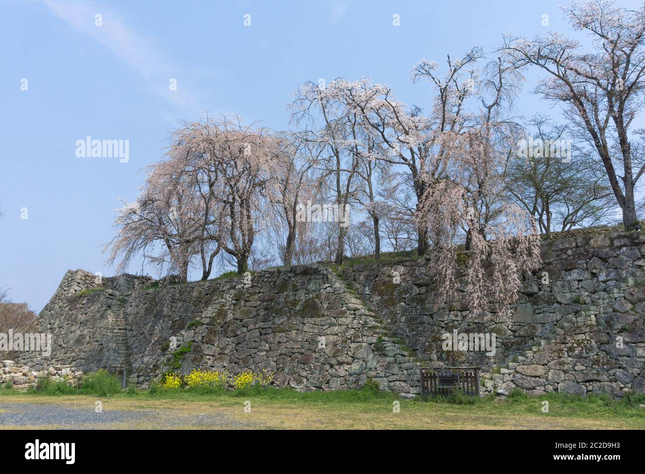 Tsuyama Castle was built about 400 years ago. It has been selected as ...
