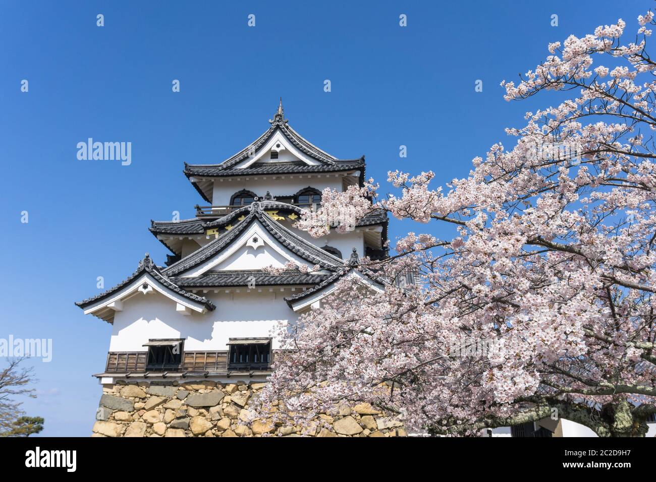 Hikone Castle was completed in 1622. It is an original castle, survived ...