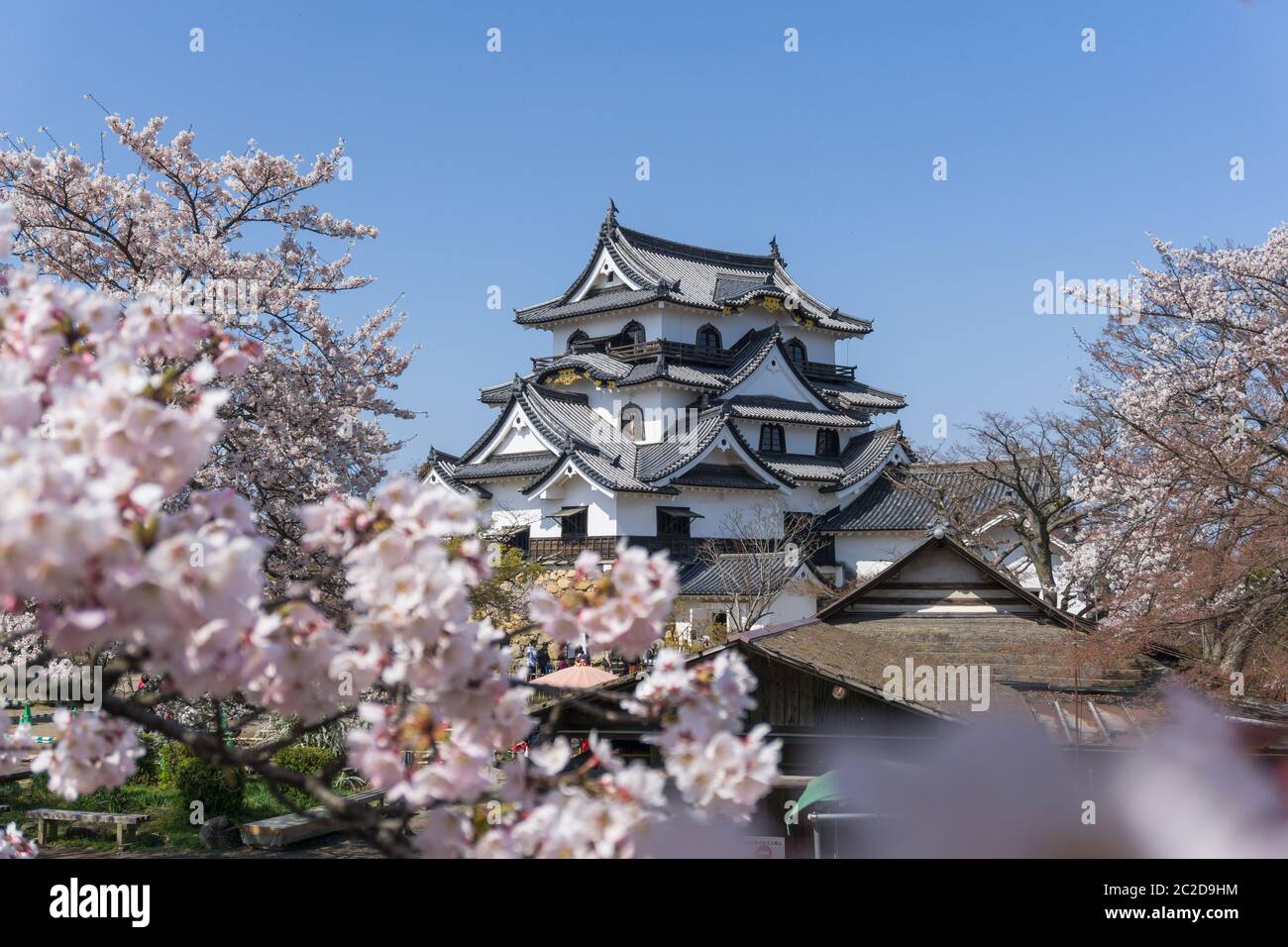 Hikone Castle was completed in 1622. It is an original castle, survived ...