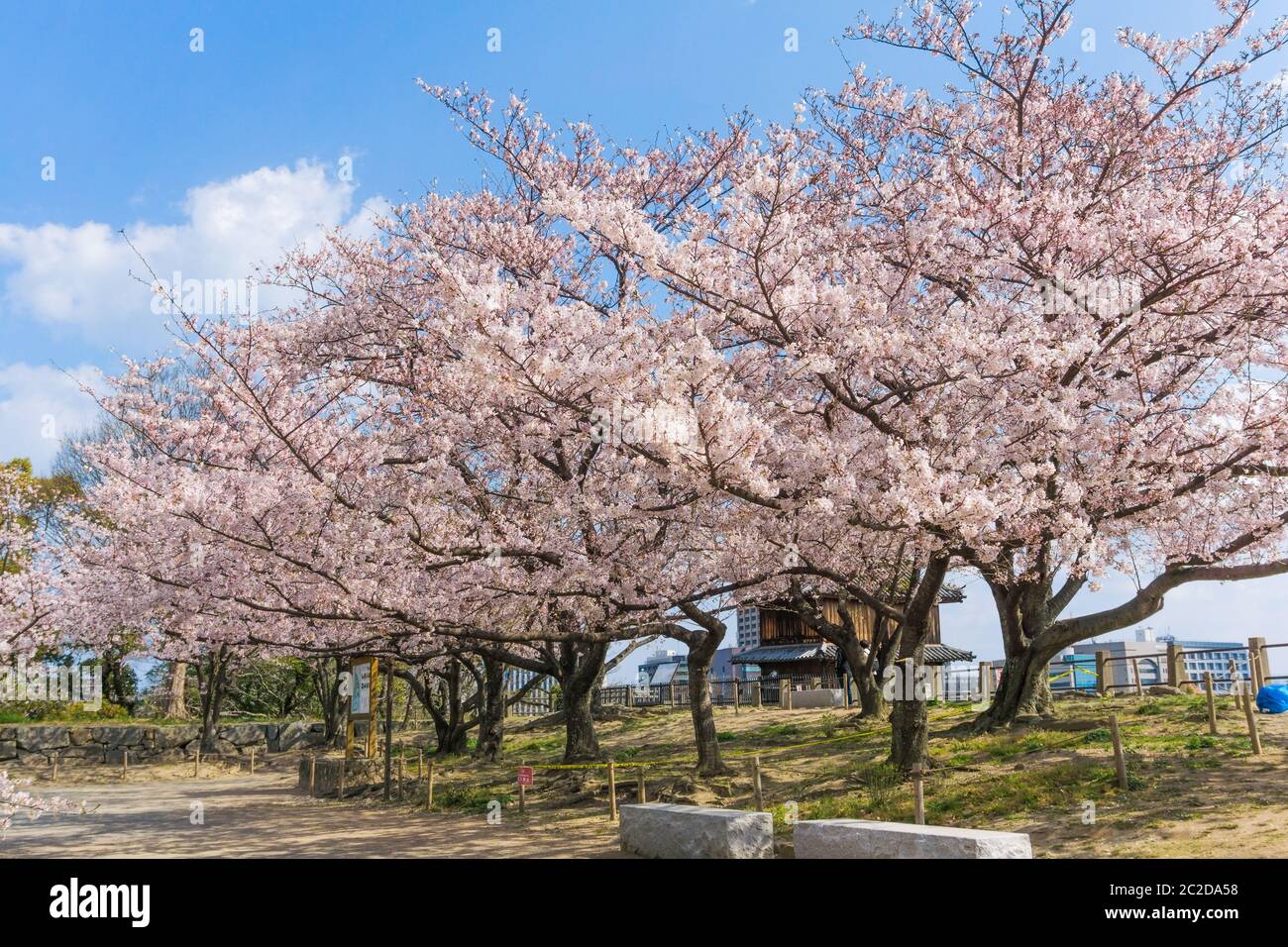 The ruins of Fukuoka Castle are located in the middle of the city in ...