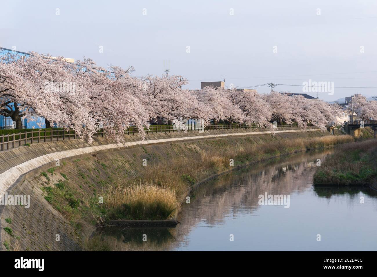 Tottori City is located in western Japan along the coast of the Sea of ...
