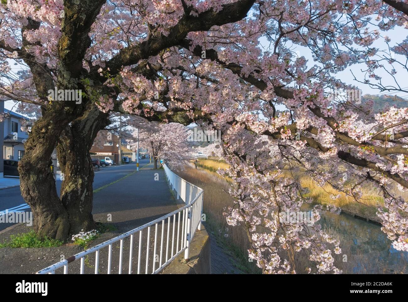 Tottori City is located in western Japan along the coast of the Sea of ...