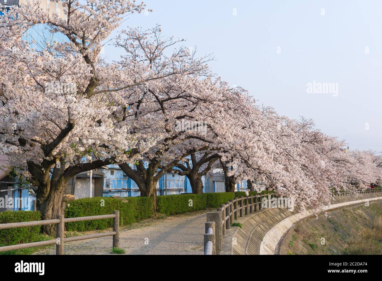 Tottori City is located in western Japan along the coast of the Sea of ...