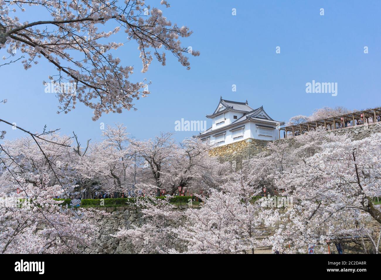 Tsuyama Castle was built about 400 years ago. It has been selected as ...