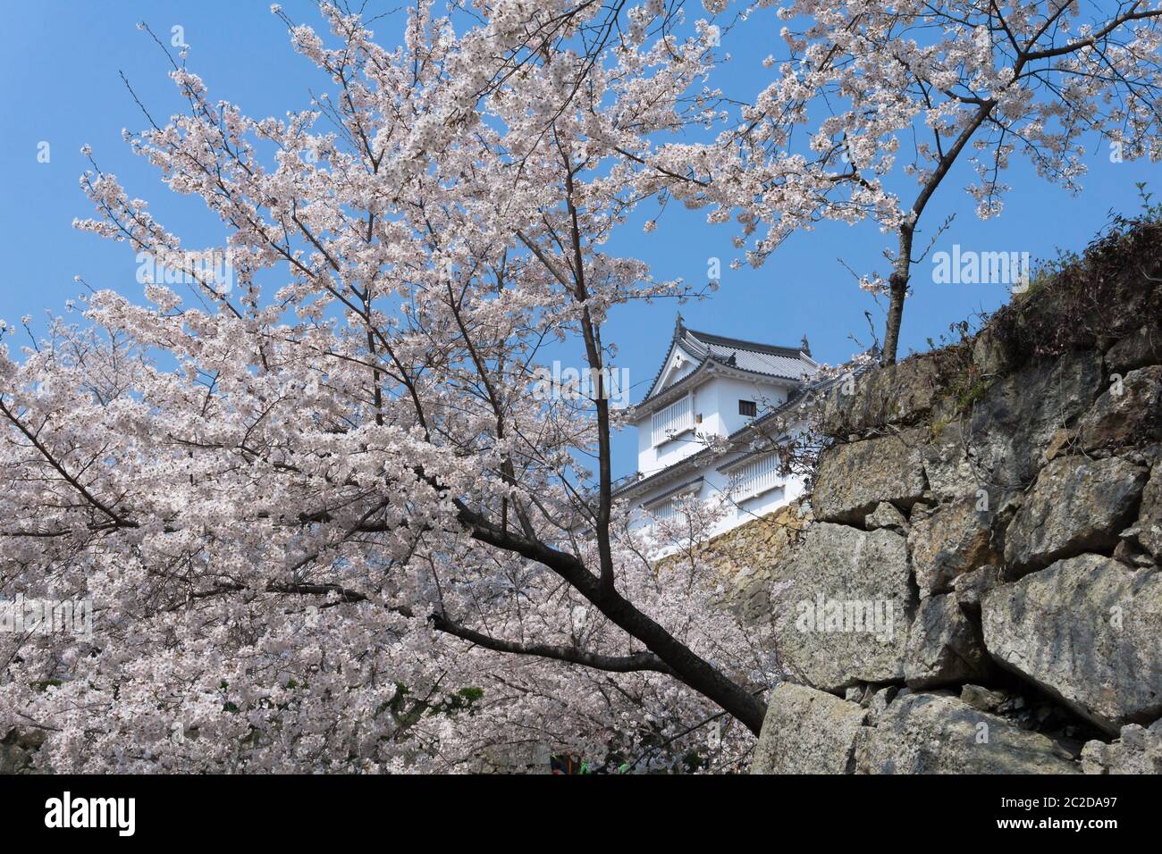 Tsuyama Castle was built about 400 years ago. It has been selected as ...