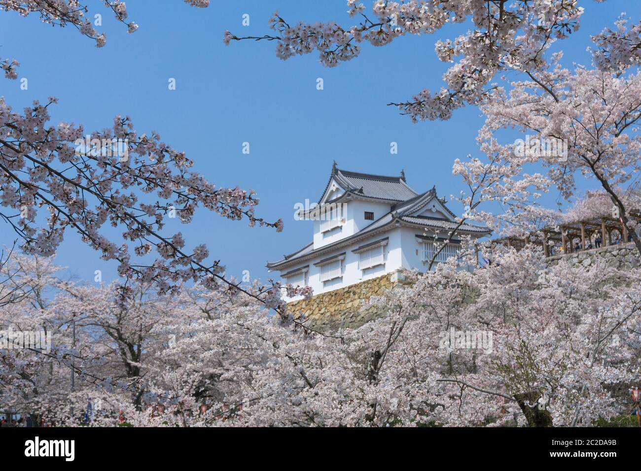 Tsuyama Castle was built about 400 years ago. It has been selected as ...
