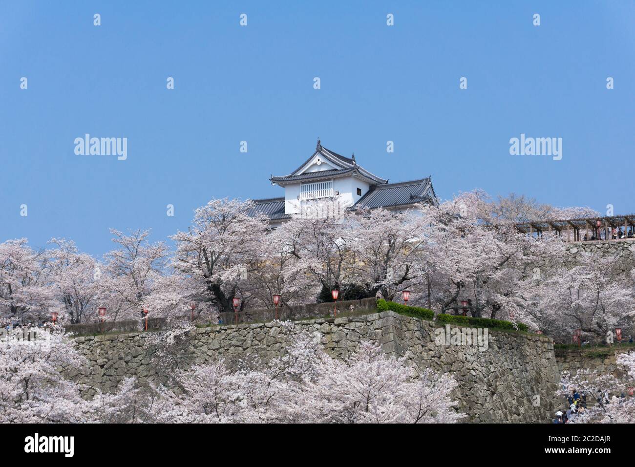 Tsuyama Castle was built about 400 years ago. It has been selected as ...