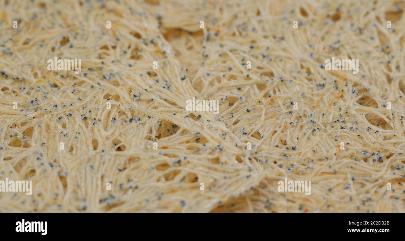Japanese dry fish snack for beer, tatami iwashi Stock Photo - Alamy