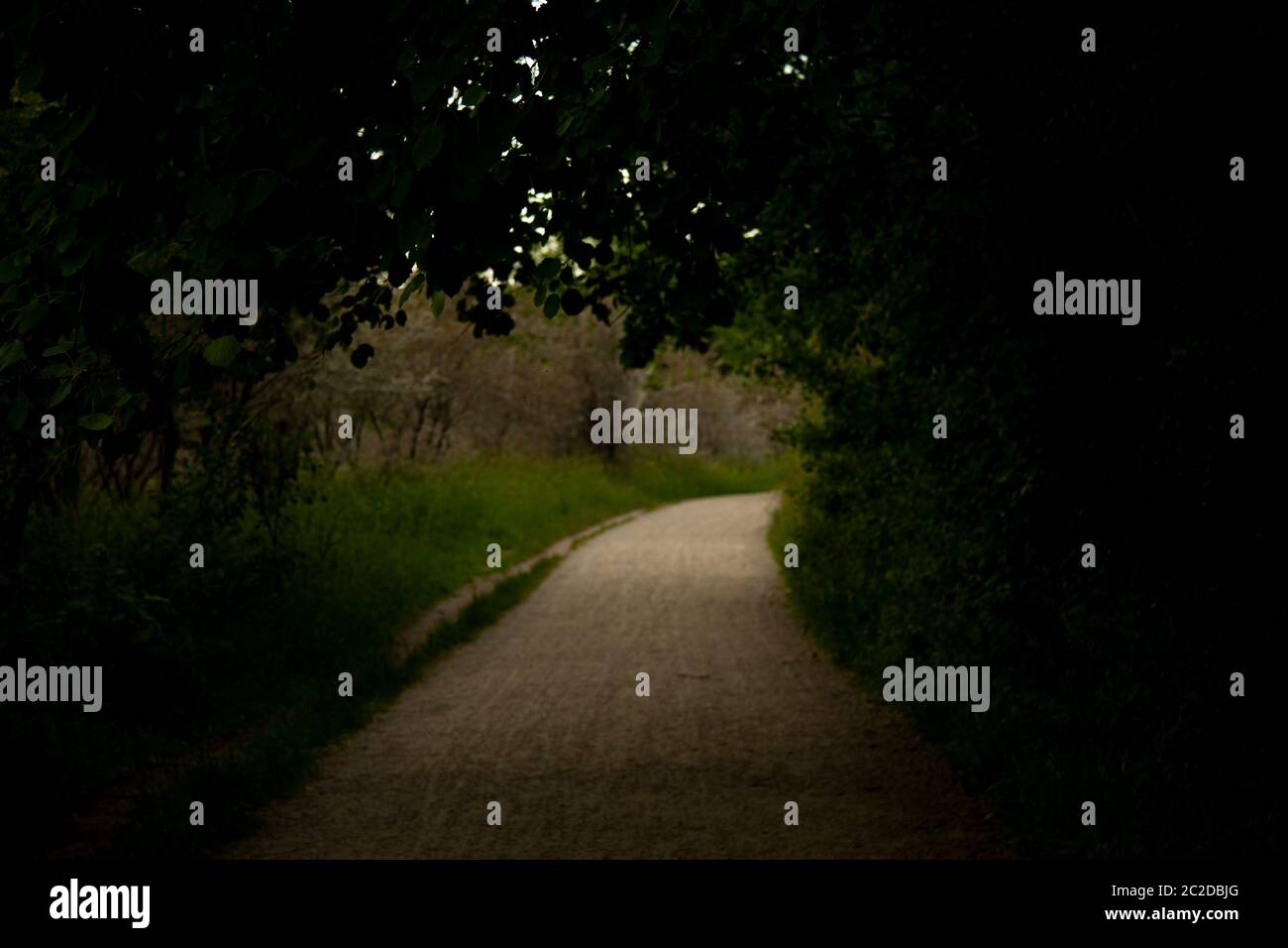 Dark path in park hi-res stock photography and images - Alamy