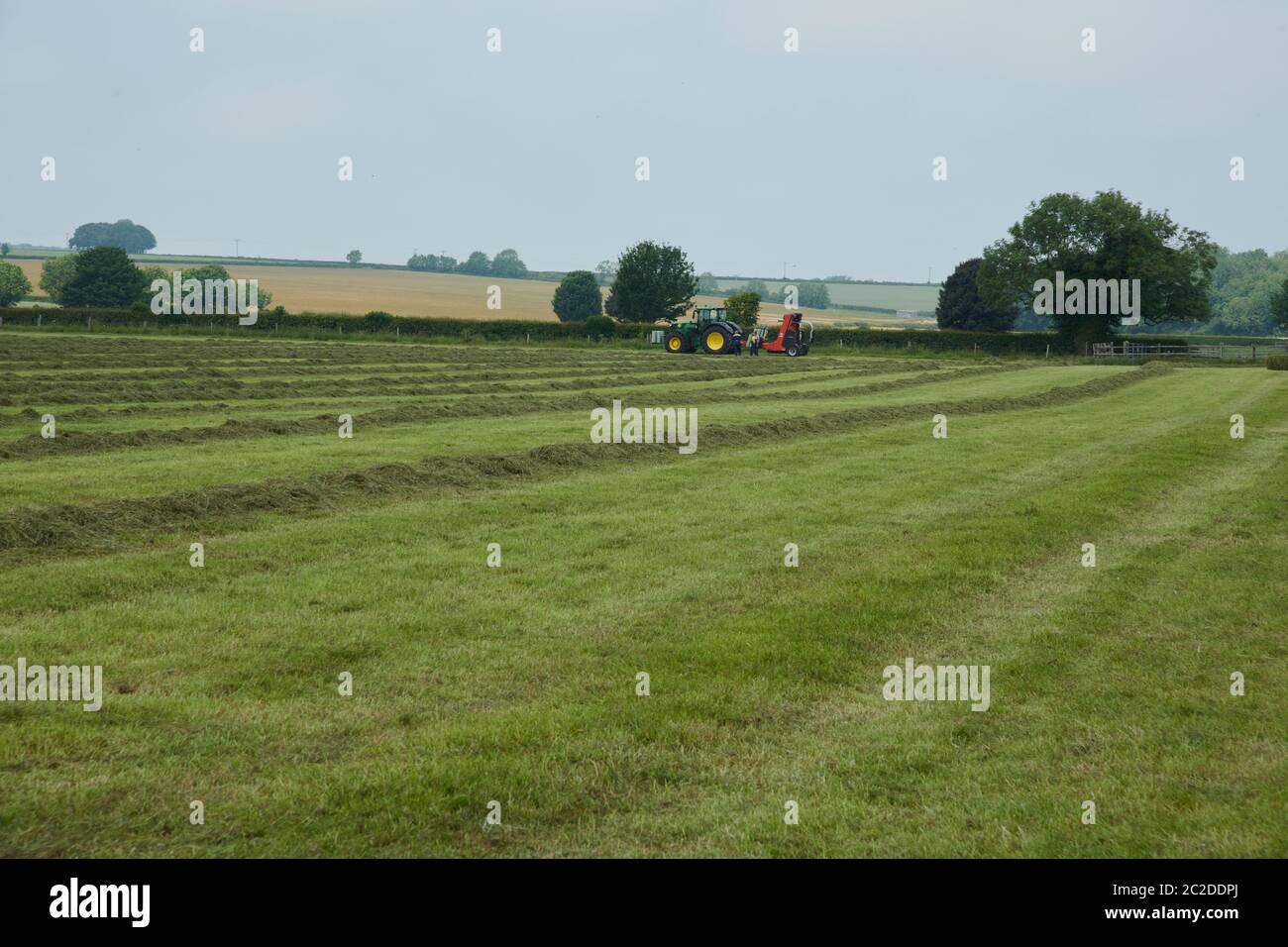 Hay Making, East Yorkshire, England, UK, GB Stock Photo - Alamy